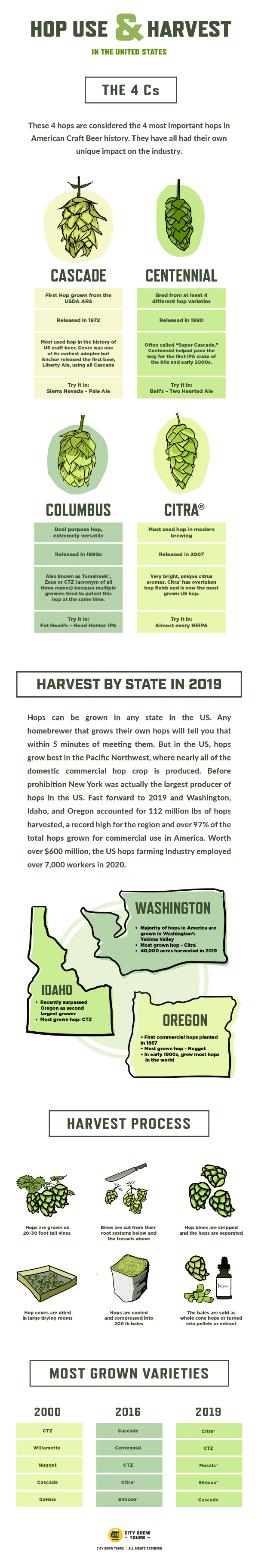 A Visual Guide to Hops - City Brew Tours - North America's Best and ...